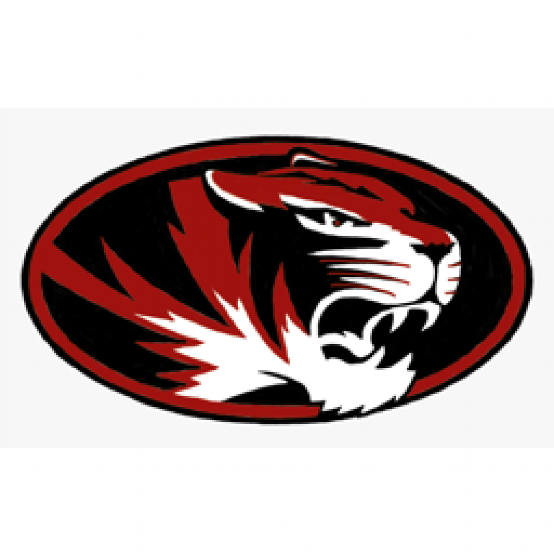 Innerview Group Profile Hartselle High School