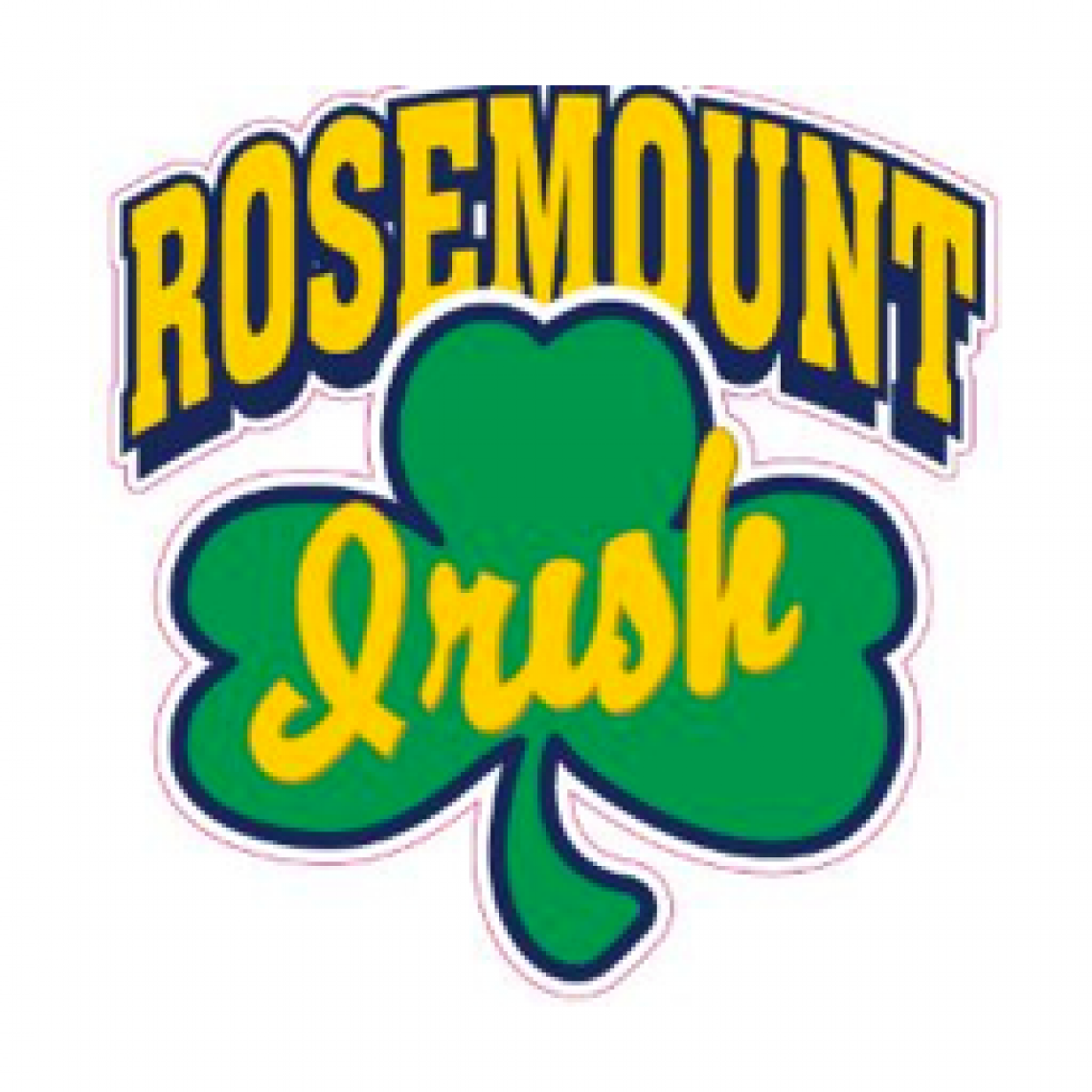 InnerView - Group Profile - Rosemount High School