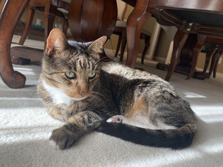 InnerView - Member Profile - Beverly Riley