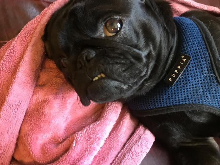 InnerView - Member Profile - Hailee Zuber